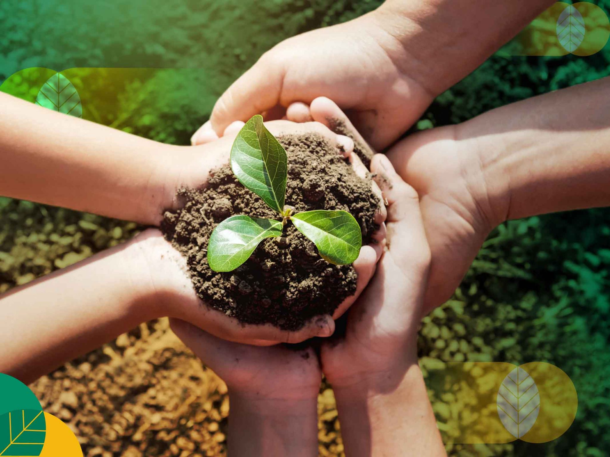 Kebijakan ‘Zero Burning Policy’, Membuka Lahan tanpa Membakarnya | Gokomodo