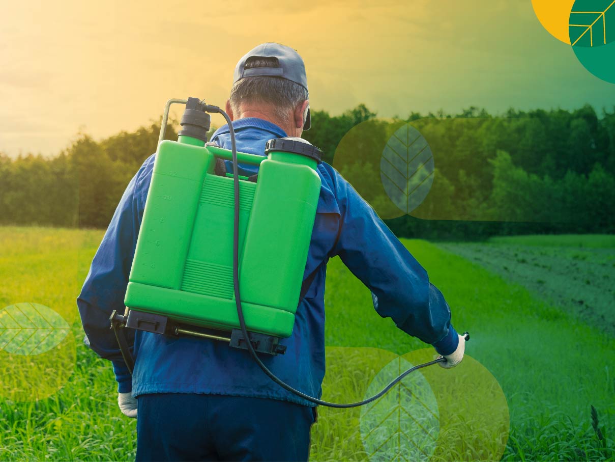 Penggunaan Pestisida di Tingkat Petani, Ini Realitanya! | Gokomodo