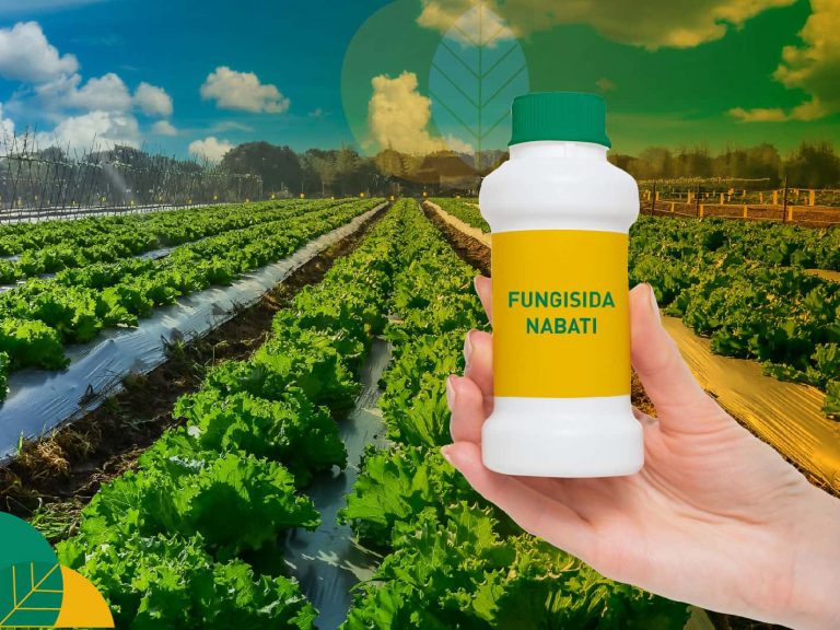 Fungisida Nabati: Apa dan Bagaimana Cara Pemakaiannya? | Gokomodo