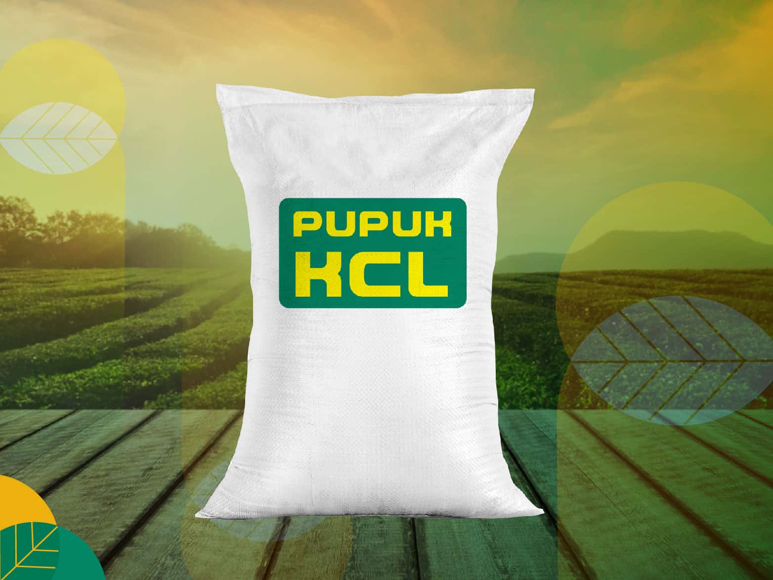 Pupuk KCL: Pengertian dan Manfaatnya untuk Tanaman | Gokomodo