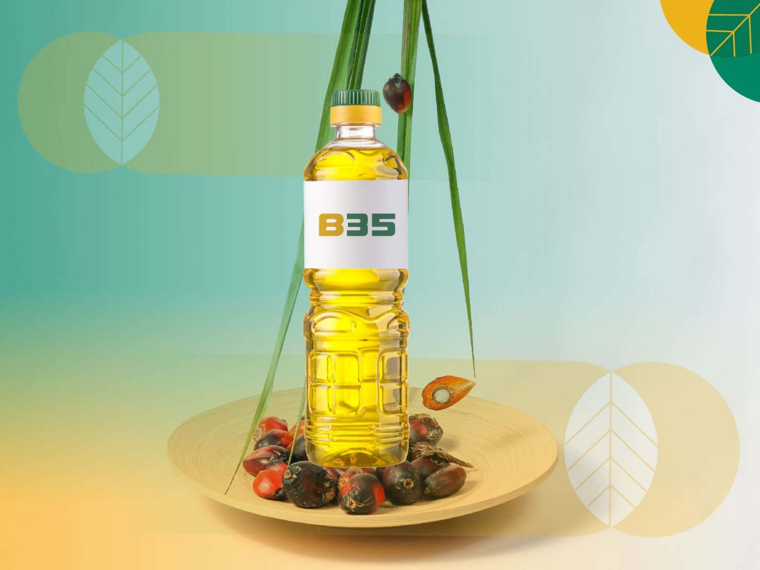 Informasi Biodiesel Kelapa Sawit B35 di Tahun 2023 | Gokomodo
