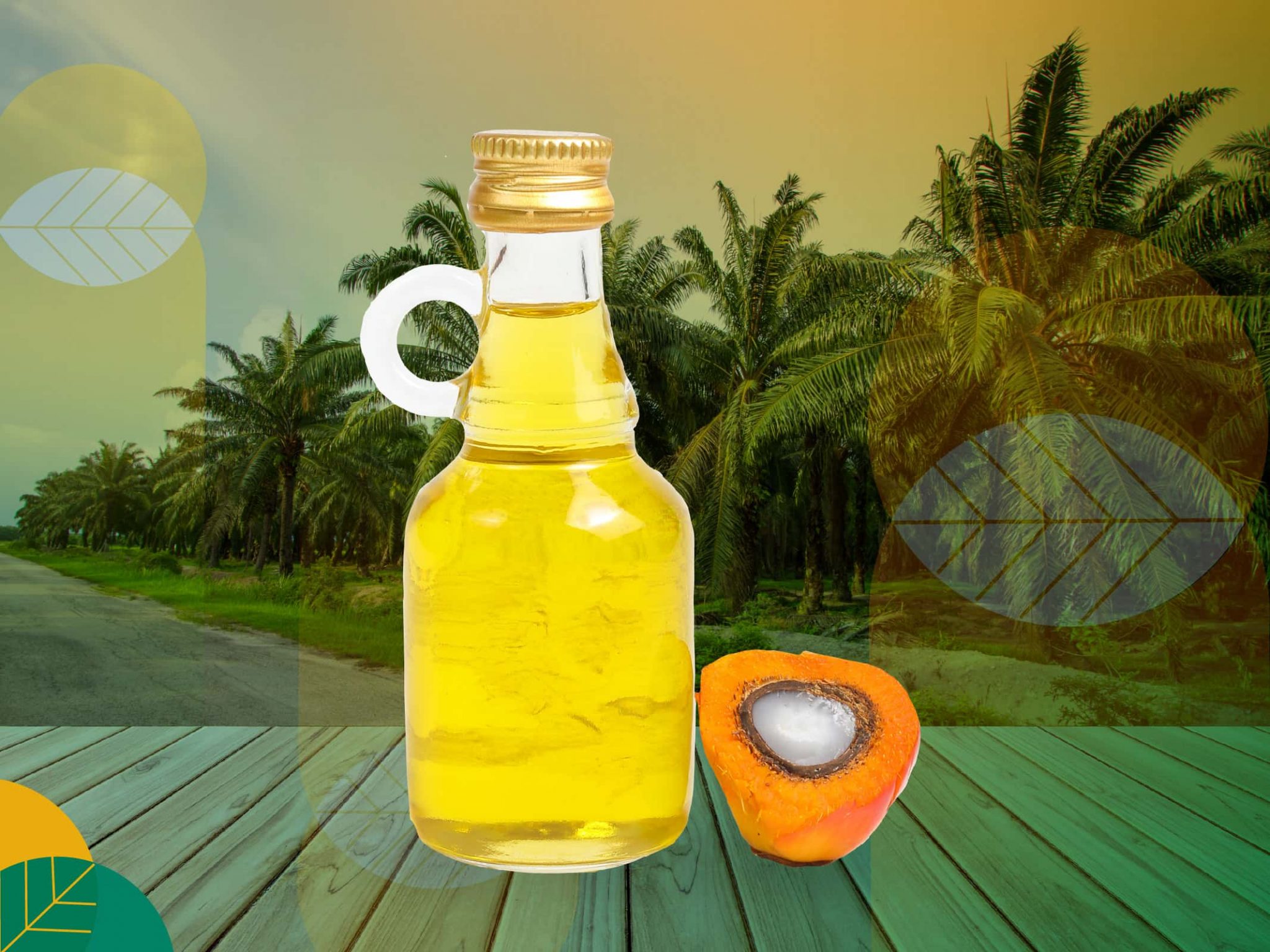 3 Negara Besar Ini Ternyata Juga Membutuhkan Minyak Sawit | Gokomodo