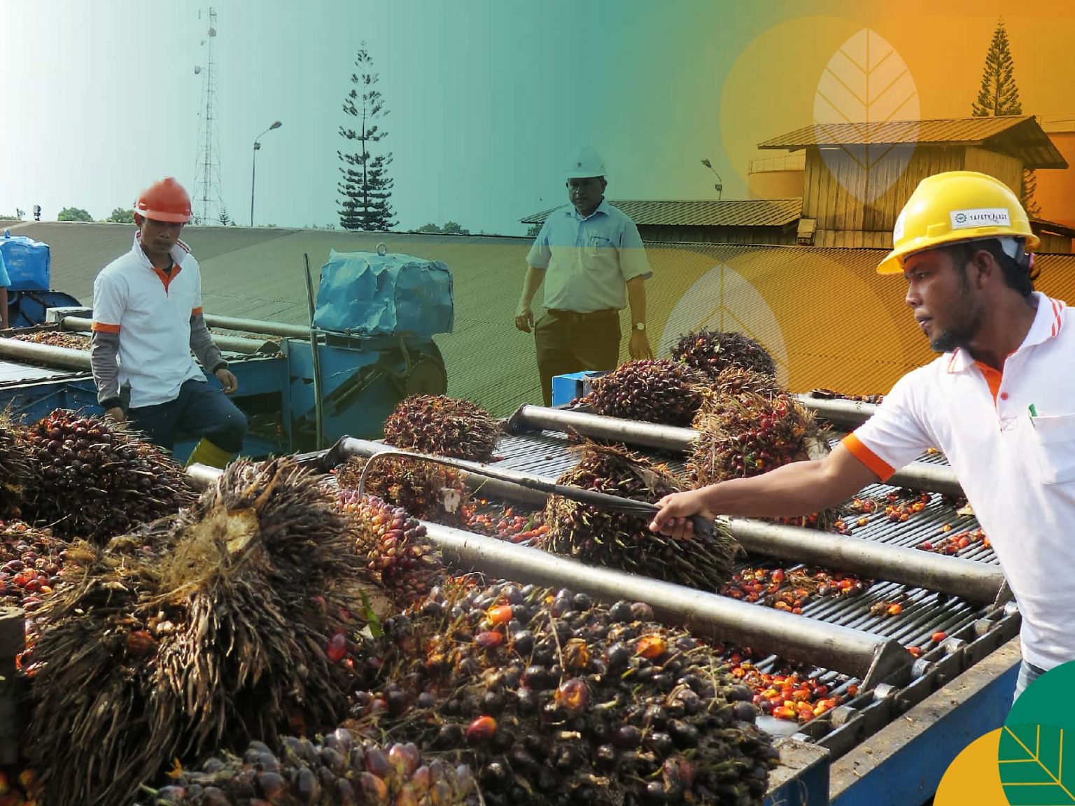 Persiapkan SDM Kelapa Sawit Siap Kerja dengan Learning Factory! | Gokomodo