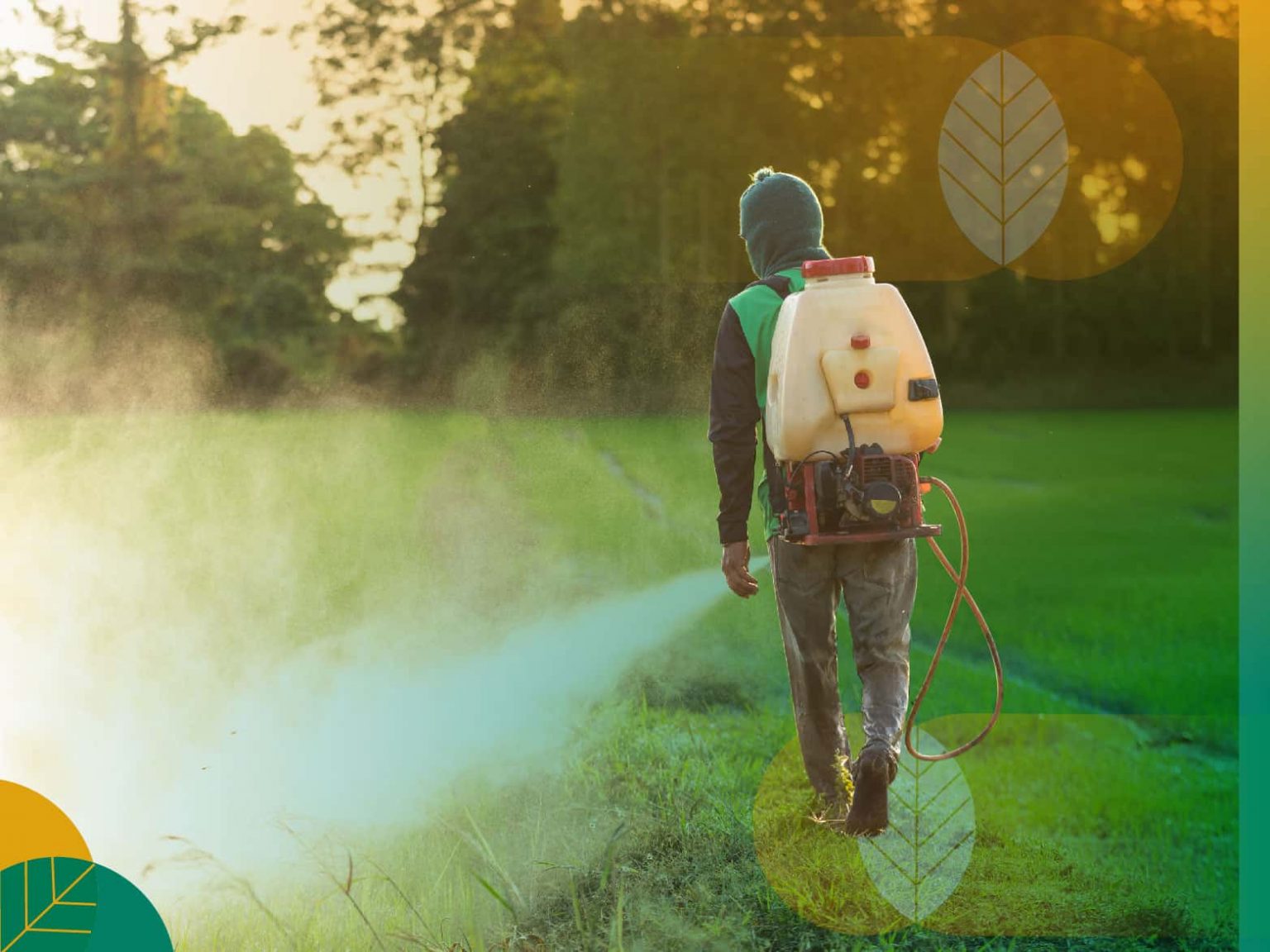 Bagaimana Sejarah Pestisida bermula? Begini Ceritanya | Gokomodo