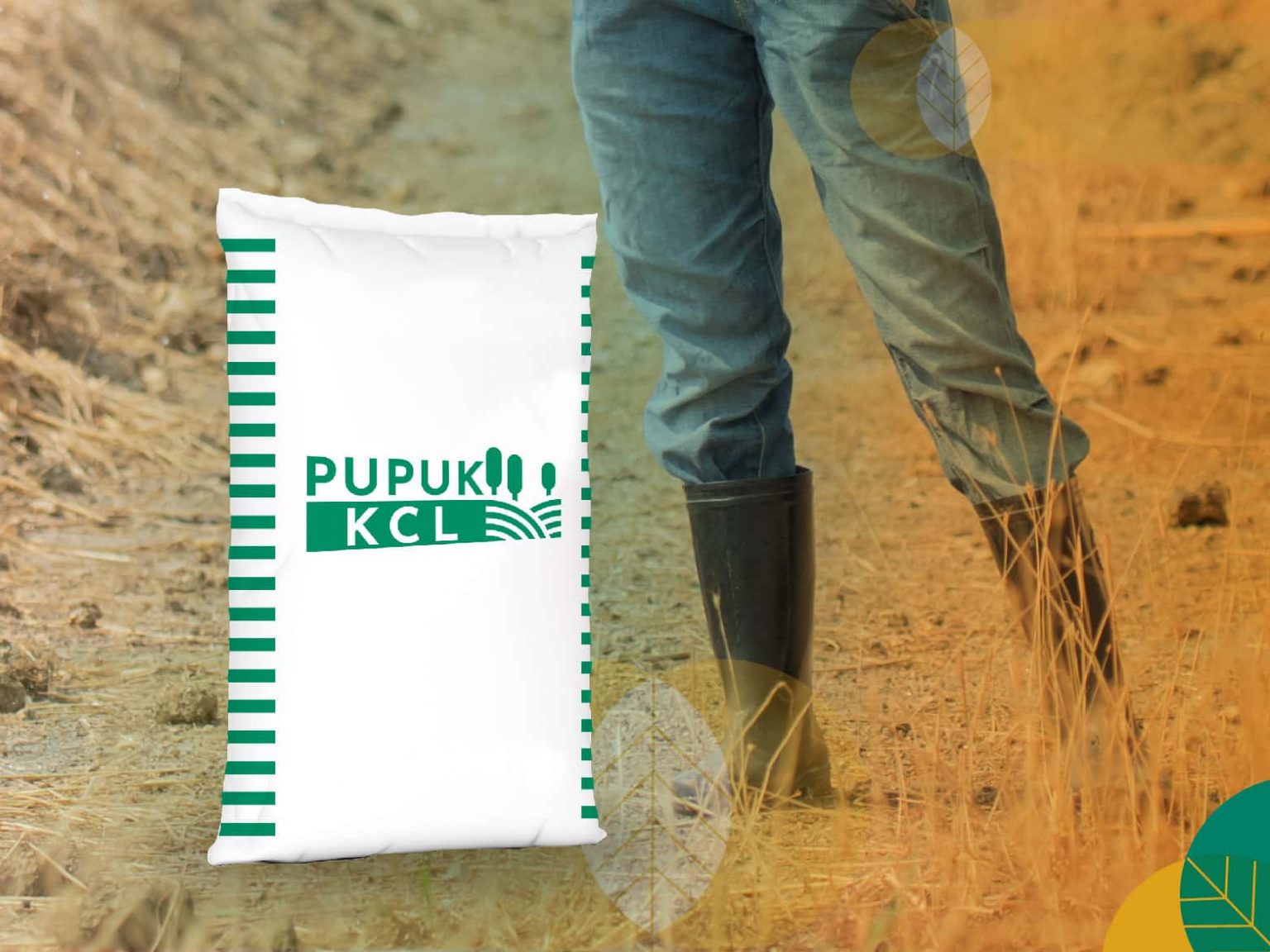 Mengenal Pupuk KCL beserta Keunggulan dan Fungsinya | Gokomodo