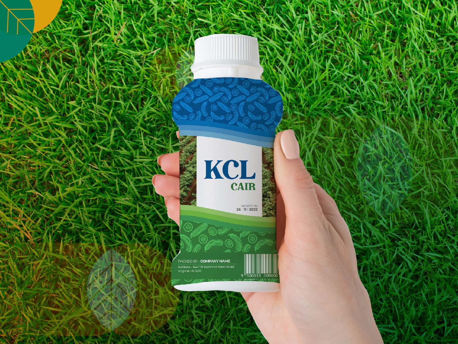 Hal yang Perlu Kamu Tahu Tentang Pupuk KCl Cair | Gokomodo