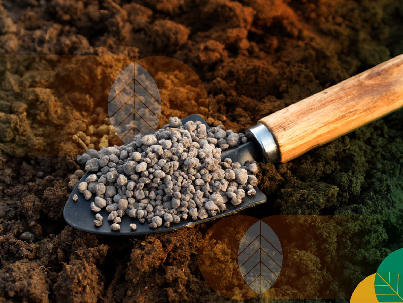 Apa Saja Bahan untuk Membuat Pupuk Fosfat Alami? | Gokomodo