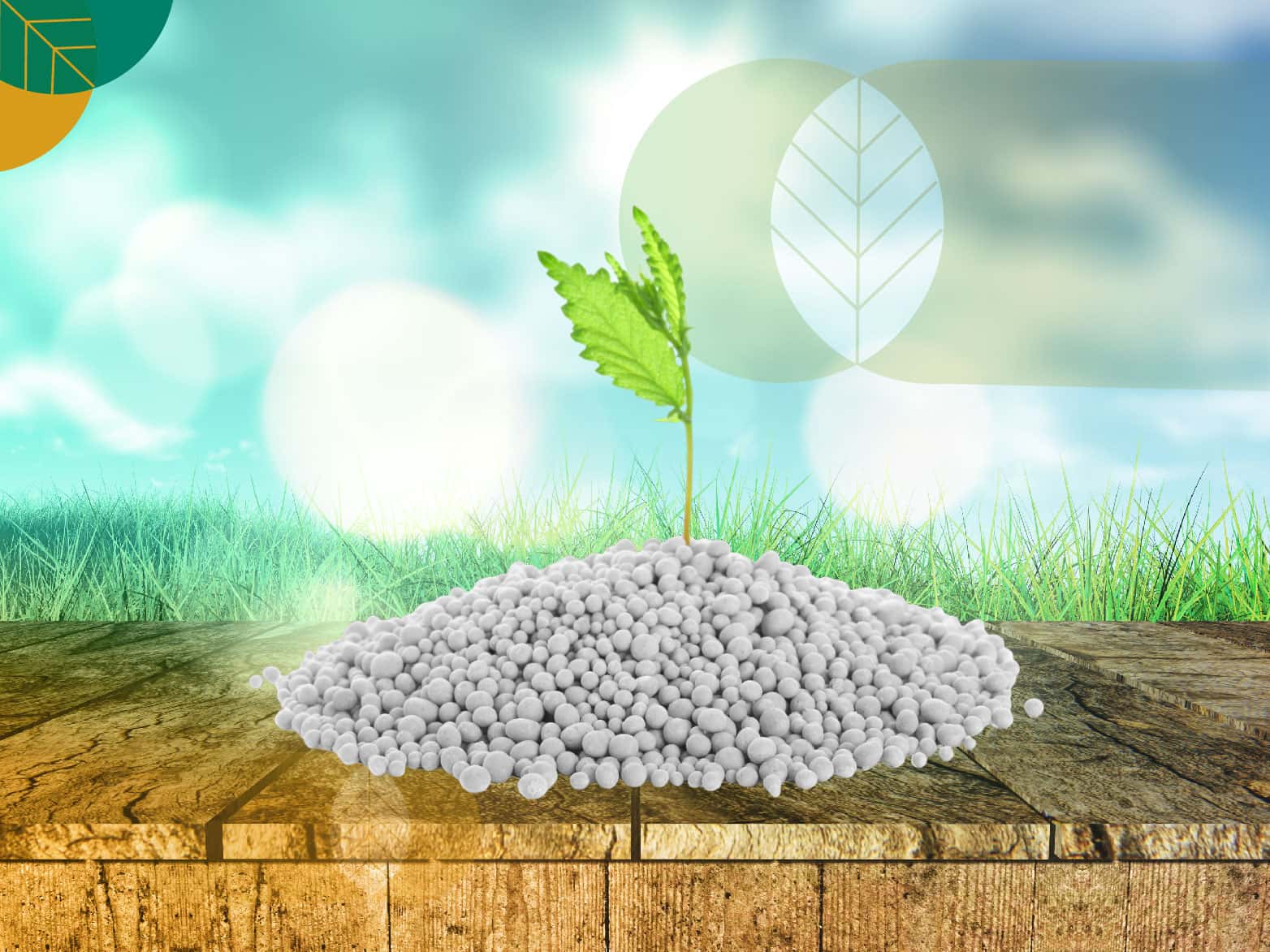 Macam Pupuk Fosfat Berdasarkan Sumbernya | Gokomodo