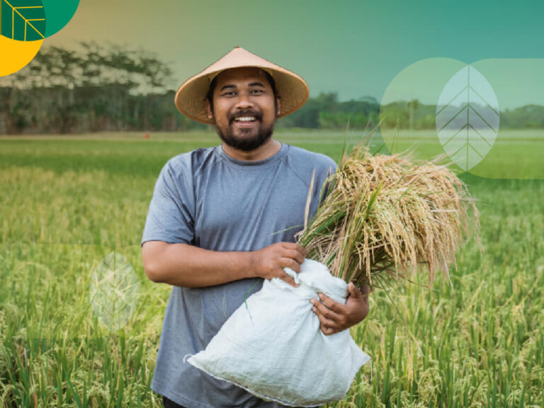 7 Cara Efektif Menjadi Petani Sukses | Gokomodo