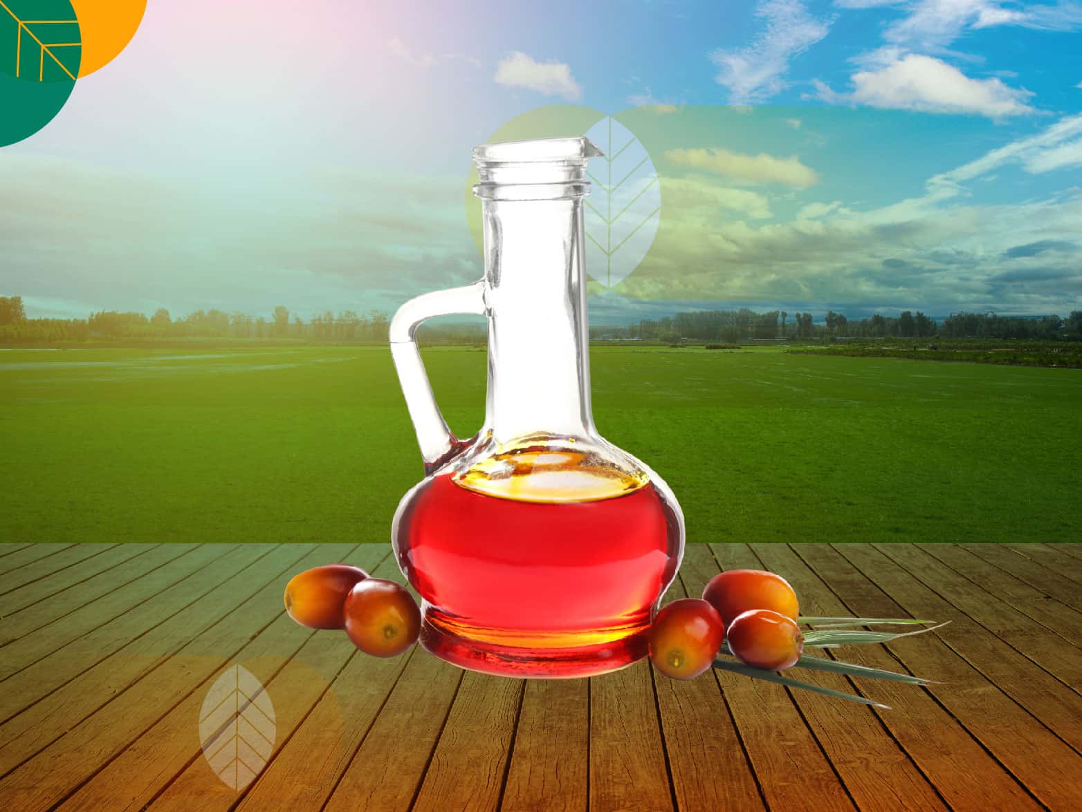 Mengenal Minyak Sawit Merah dan Manfaatnya | Gokomodo