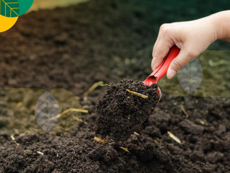 Tips Mengolah Tanah dan Tujuan Pengolahannya | Gokomodo