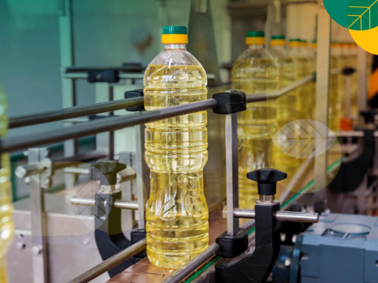 Perhatikan! Begini Caranya Membuat Minyak Sawit | Gokomodo