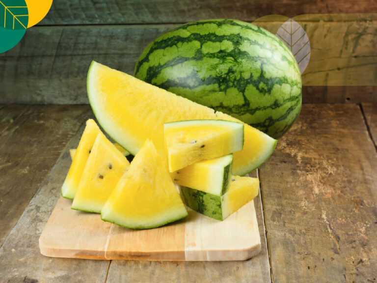 Manfaat Semangka Kuning dan Perbedaannya dengan Semangka Merah | Gokomodo