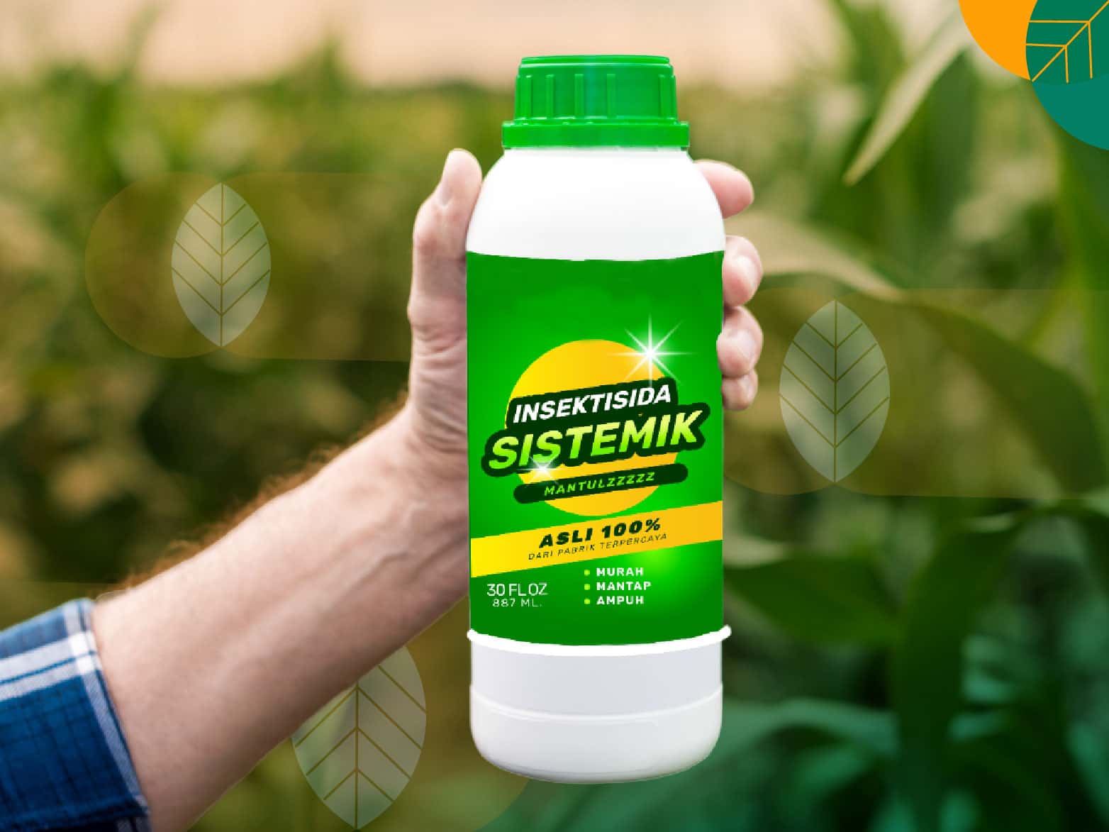 10 Produk Insektisida Sistemik untuk Ulat yang Bisa Kamu Coba! | Gokomodo