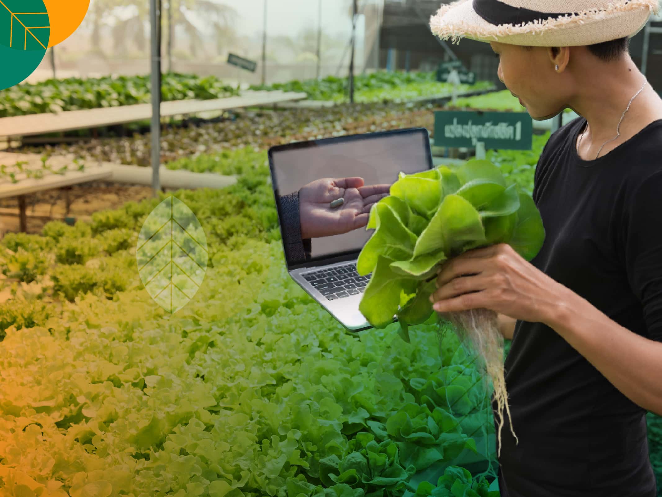Teknologi Smart Farming dalam Mewujudkan Pertanian Modern Masa Kini ...