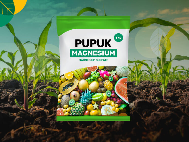 Pupuk Magnesium: Fungsi, Cara Pemakaian, dan Harga Berbagai Merk | Gokomodo