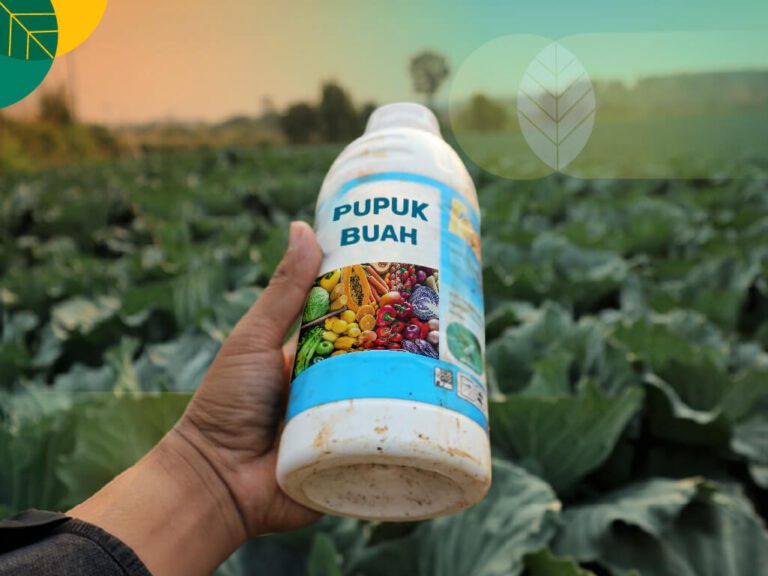 Cari Pupuk Buah Terbaik? Ini 5 Produk yang Bisa Kamu Gunakan! | Gokomodo