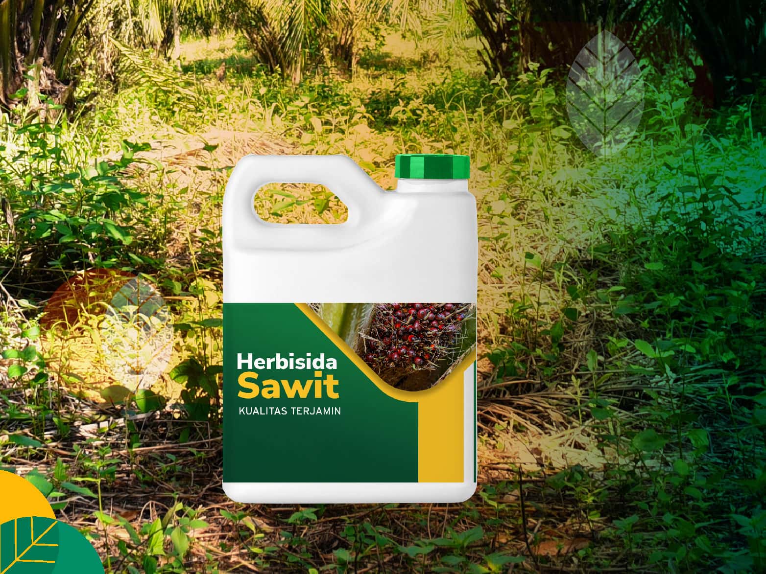 4 Rekomendasi Herbisida Kelapa Sawit Paling Ampuh | Gokomodo