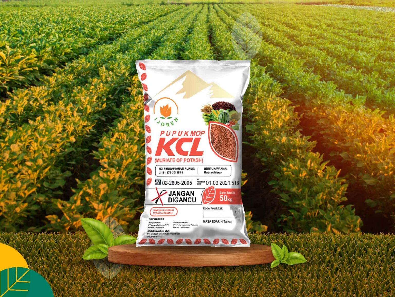 Berapasih Harga Pupuk KCL 50 Kg di Pasaran? Mungkin Referensi Ini Bisa ...