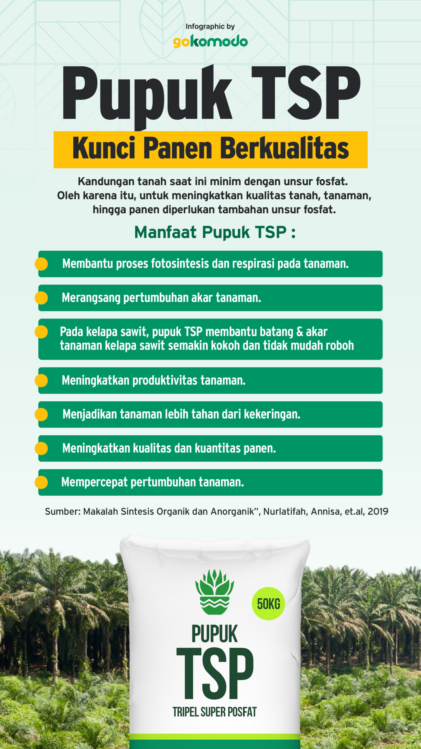 Cari Tahu Fungsi Pupuk TSP Sebagai Sumber Nutrisi Untuk Perkembangan ...