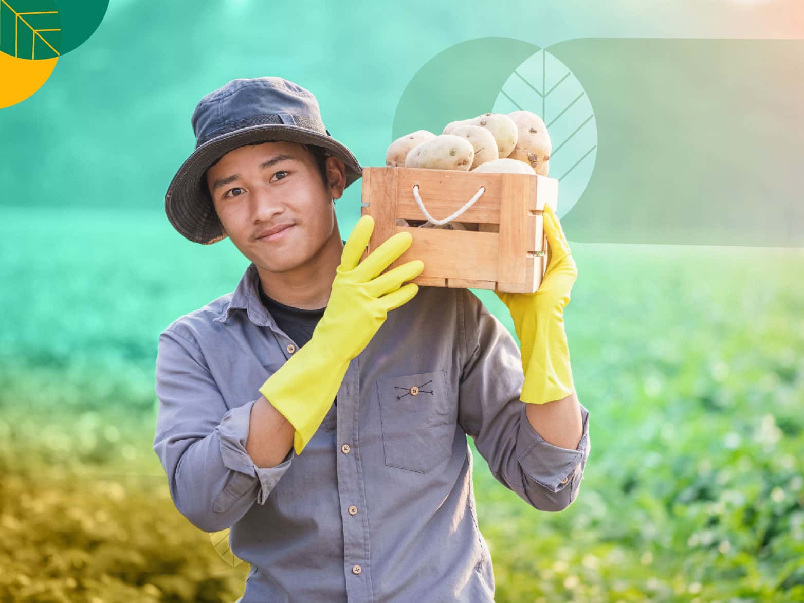 Cari Informasi Cara Menanam Kentang? Baca Dulu Artikel Dibawah Ini ...