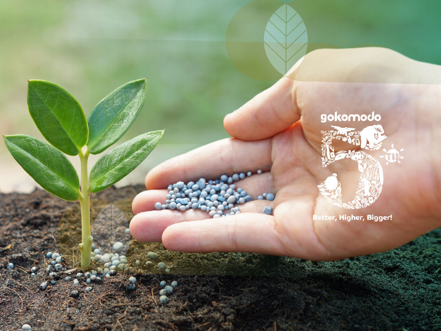 Penting Dicatat! Ini Alasan Pemberian Pupuk ZA Sangat Dianjurkan | Gokomodo