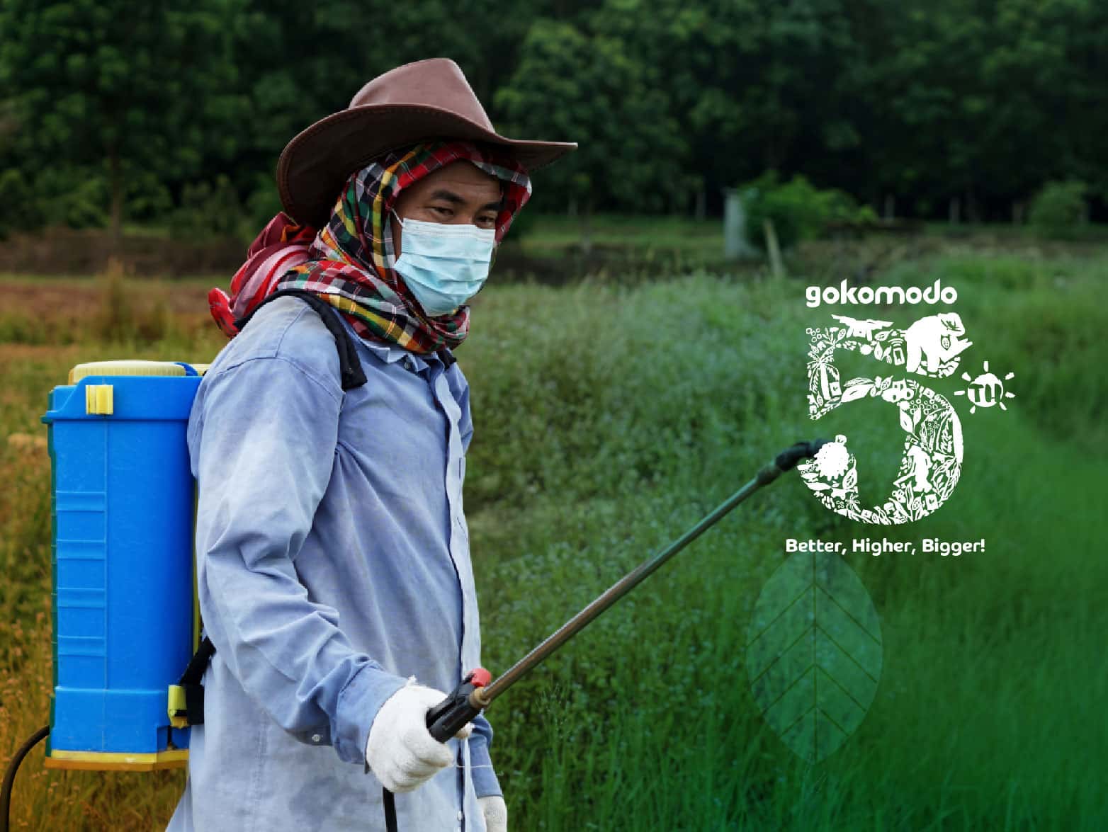 Semua yang Kamu Perlu Tahu Tentang Herbisida Sistemik Ada di Artikel ...