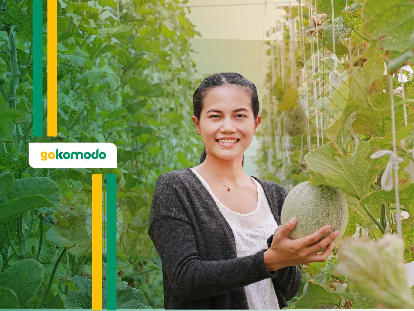 Buah Apa yang Paling Gampang DIbudidayakan? Buah Melon! Yuk Intip Cara Budidaya Melon Berikut ...