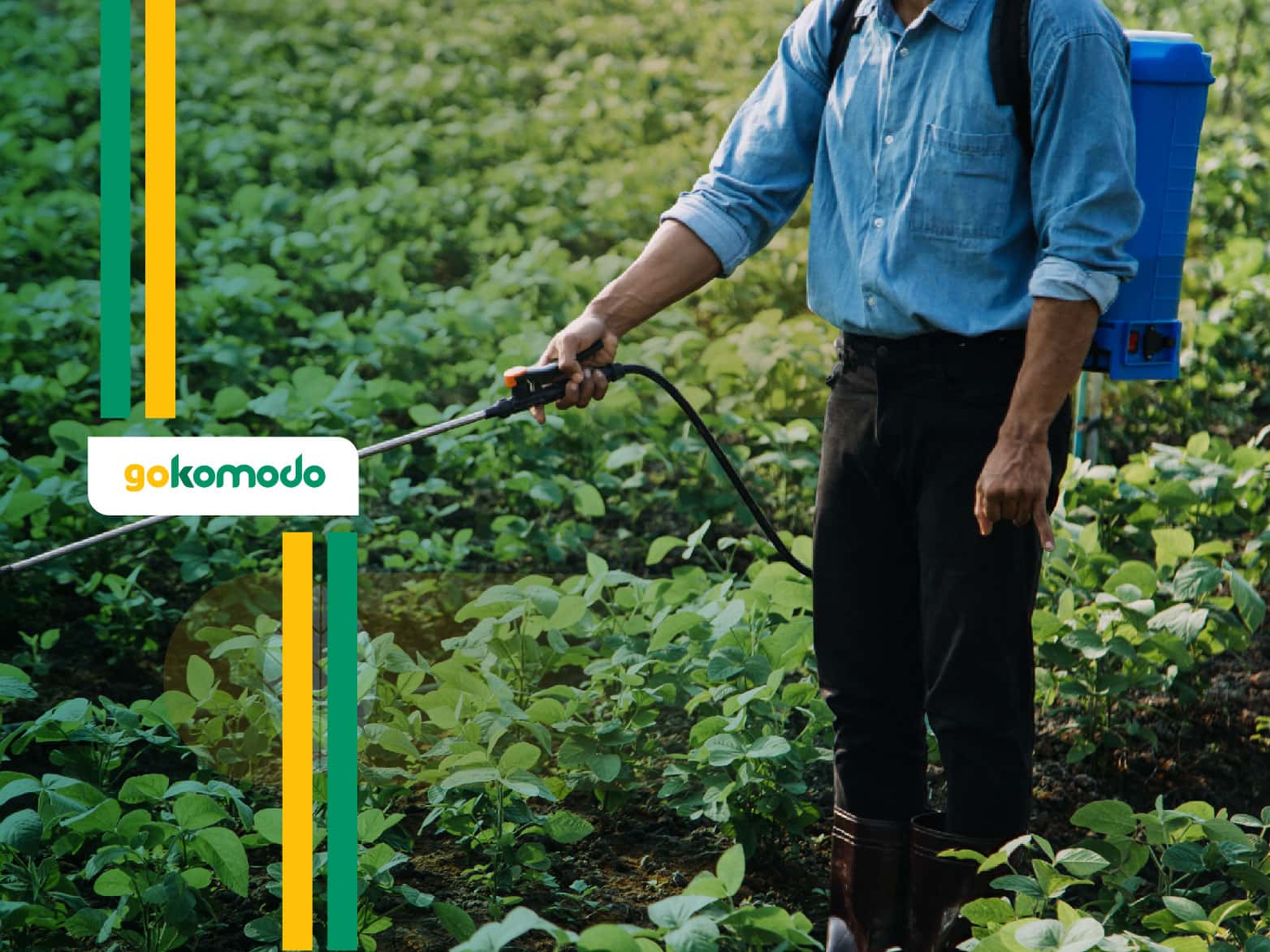 Bingung Mau Pilih Herbisida Sistemik yang Mana? Baca Artikel Ini Yuk ...