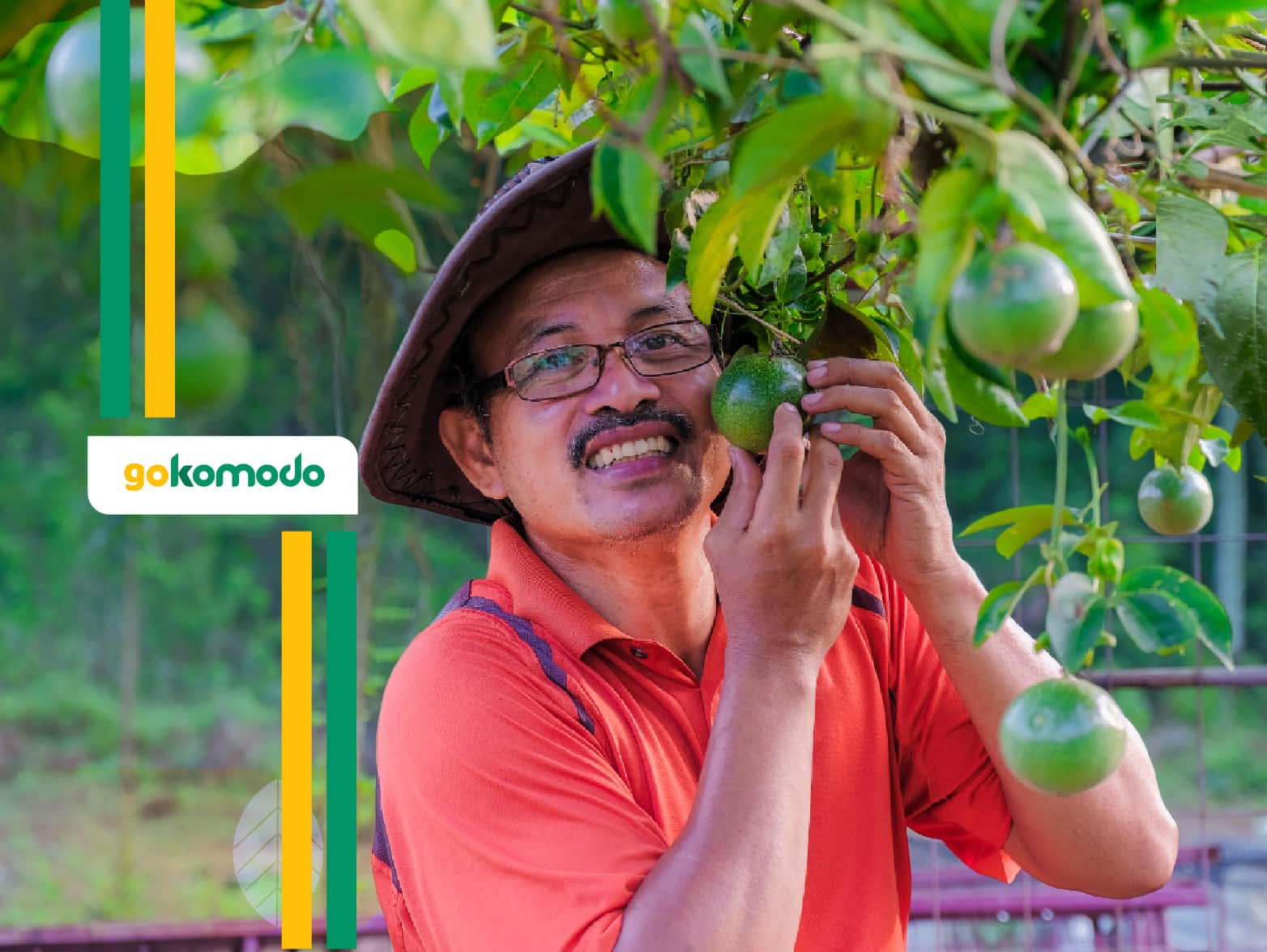 Segar dan Kaya Manfaat! Ini Kandungan Buah Jeruk yang Penting Diketahui ...