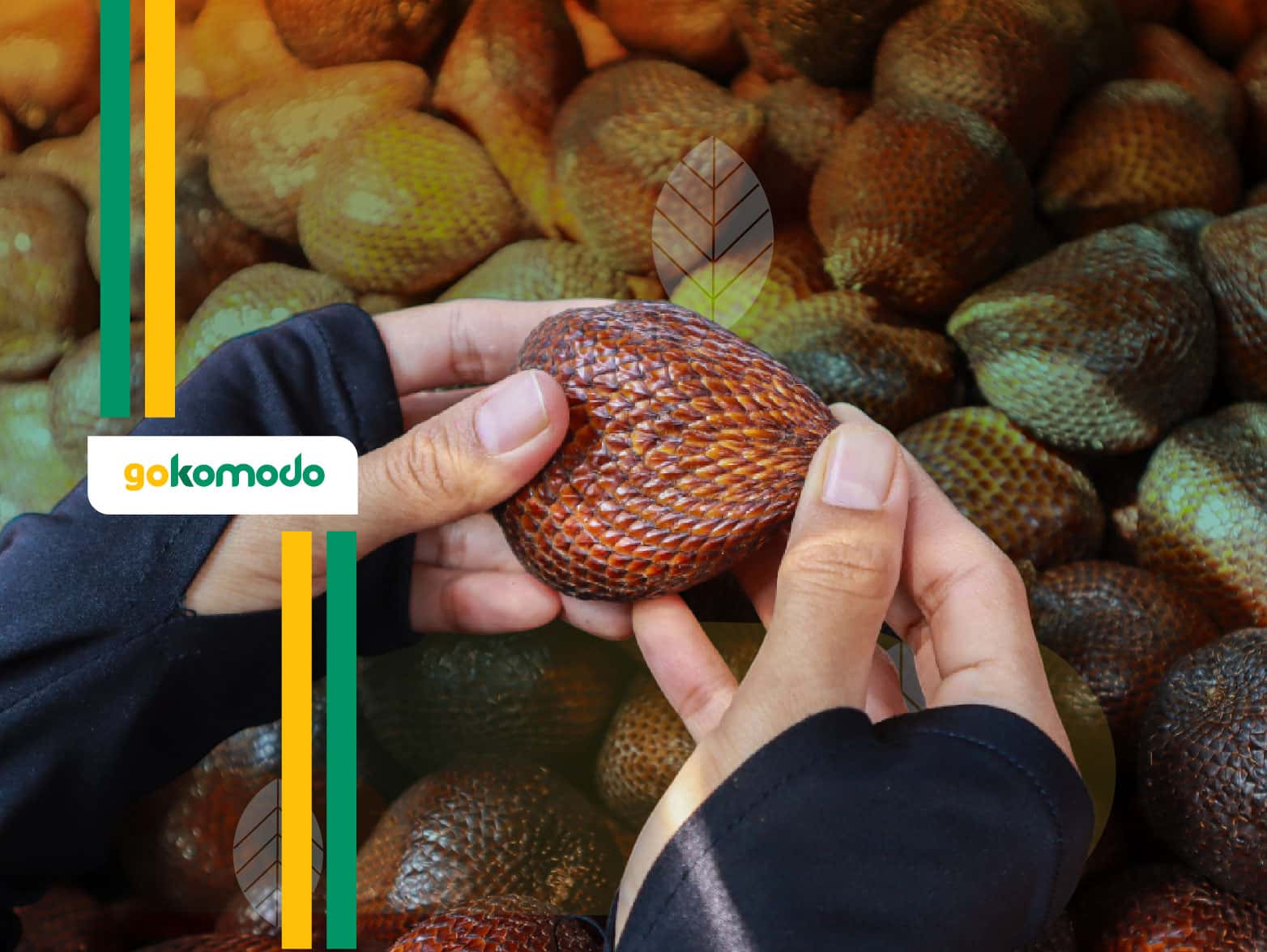 Khasiat Buah Salak bagi Kesehatan Tubuh, Jangan Sampai Kamu Tidak Tahu ...