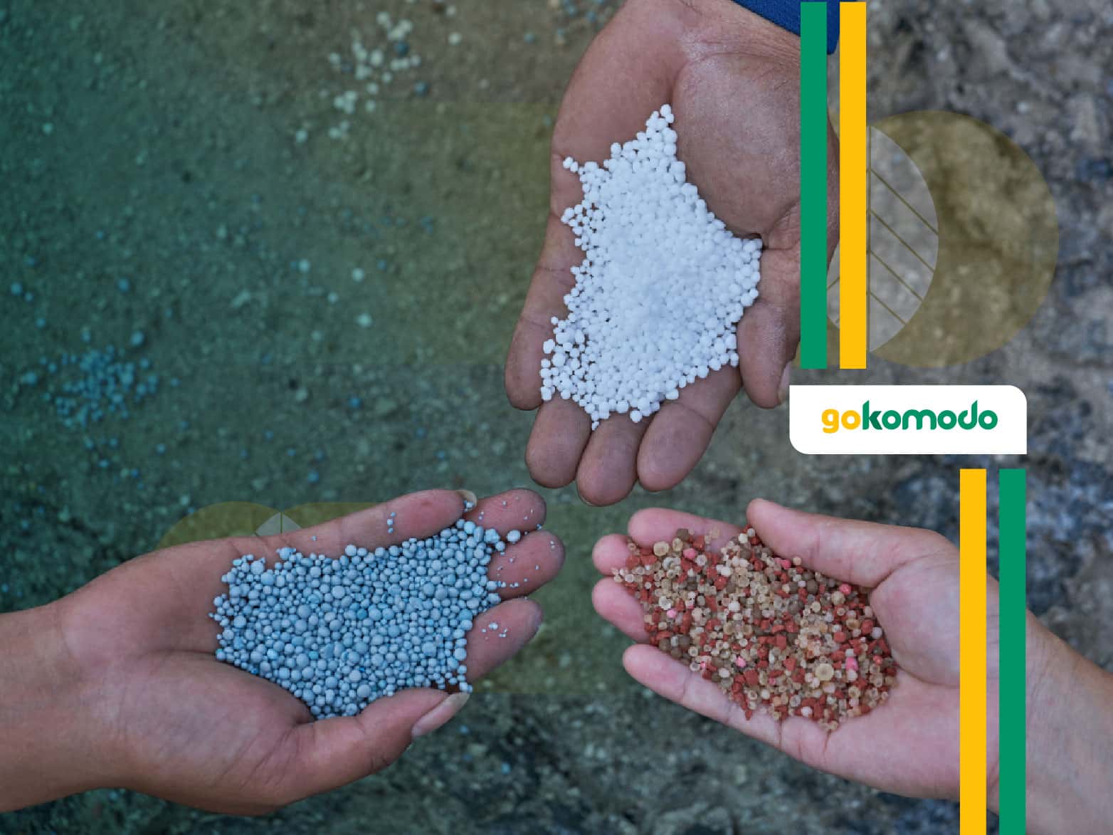 Satu Lagi Jenis Pupuk yang Cocok untuk Fase Generatif Tanaman, Inilah ...